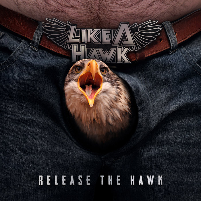 Release The Hawk | Like A Hawk