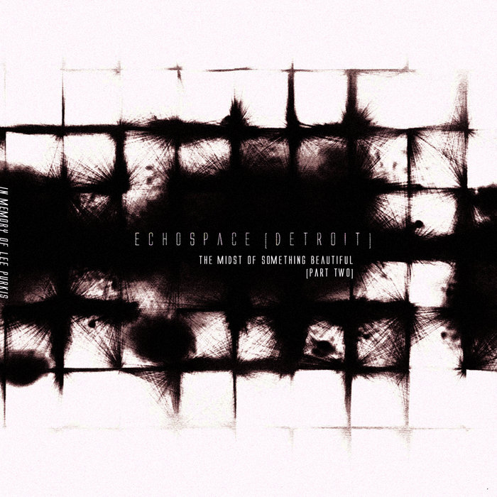 the midst of something beautiful [volume two] remastered | various | echospace313