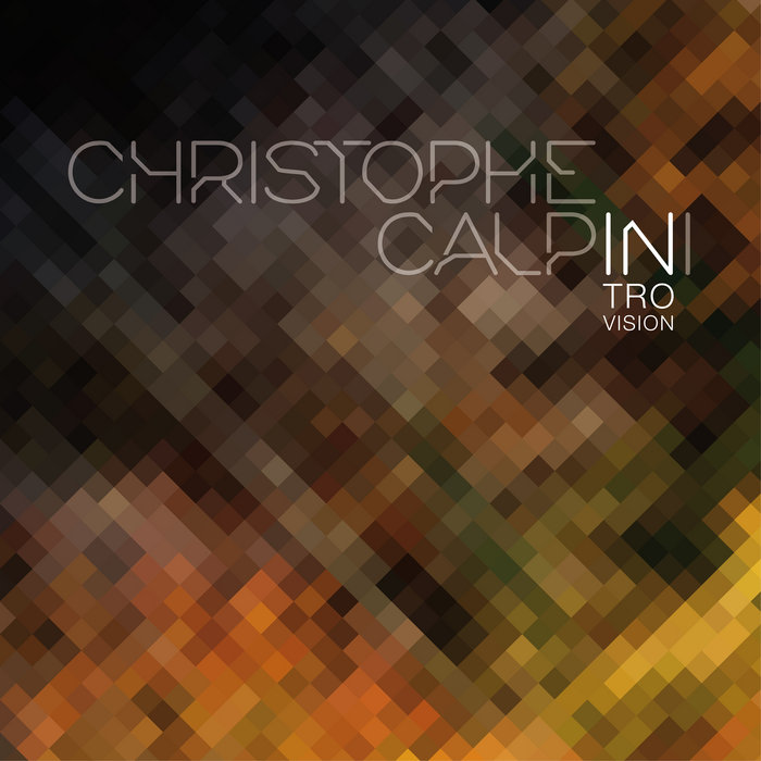Introvision | Christophe Calpini