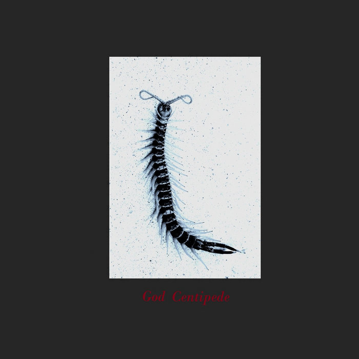 God Centipede (42 & Ipnovipera) / God Centipede | IPNOVIPERA