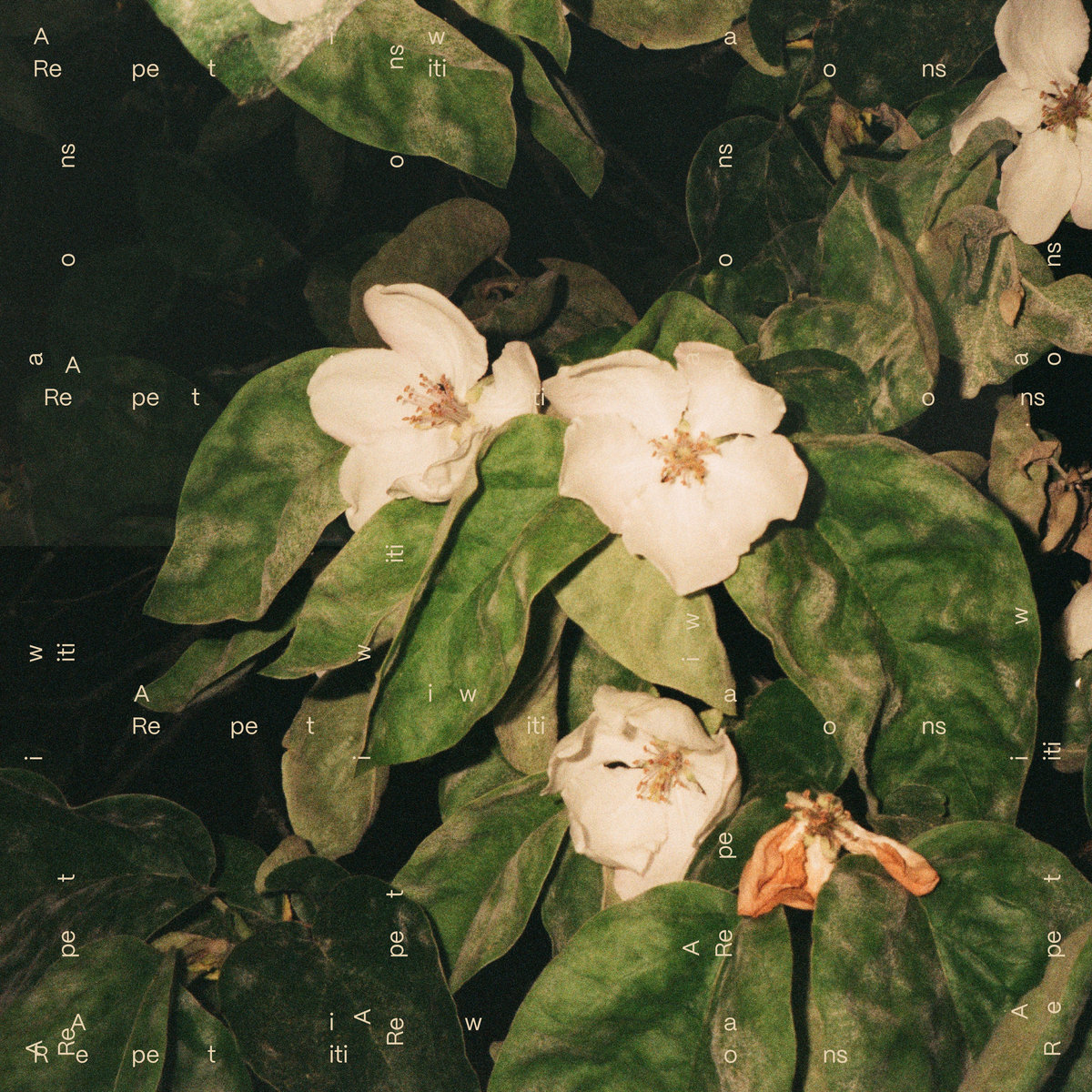 Repetitions | Aiwa | Farbwechsel