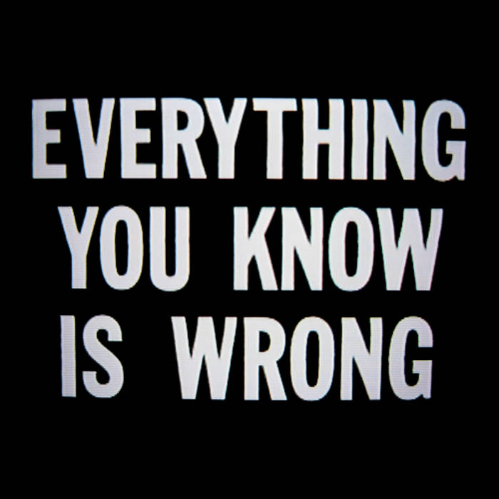 You Are So Wrong Quotes