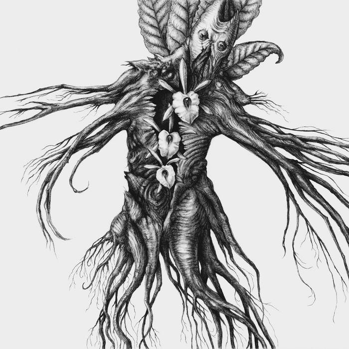 IV: Mandragora | Botanist | The Flenser