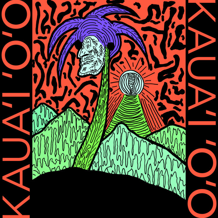 Kaua'i 'ō'ō | Kaua'i 'ō'ō