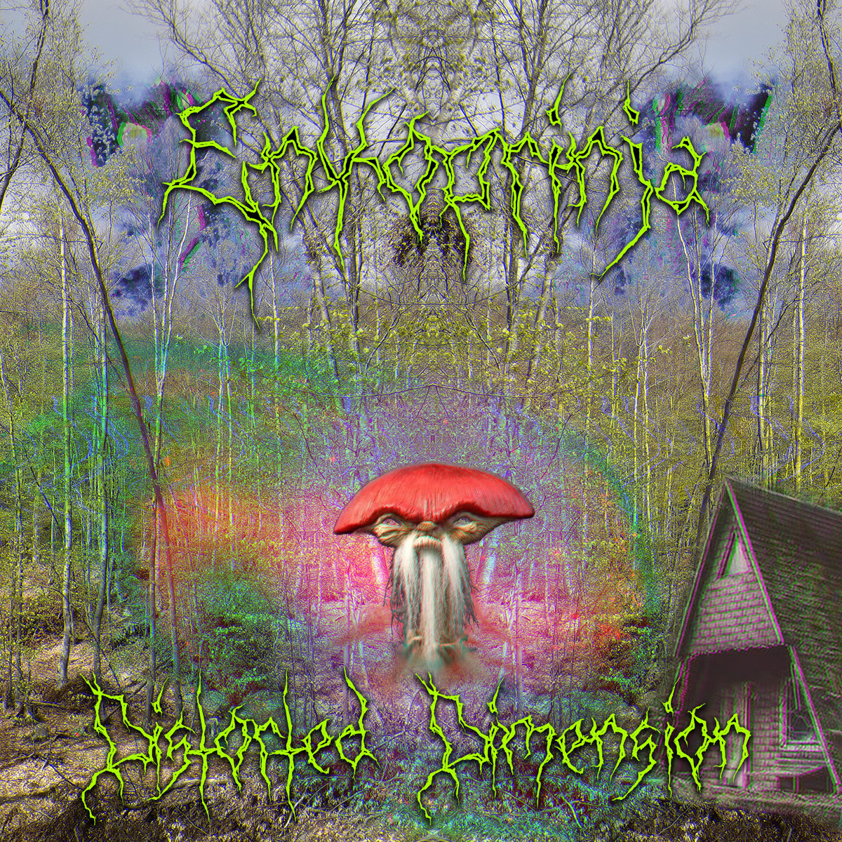 Distorted Dimension | Enkoprinja | Active Meditation Music