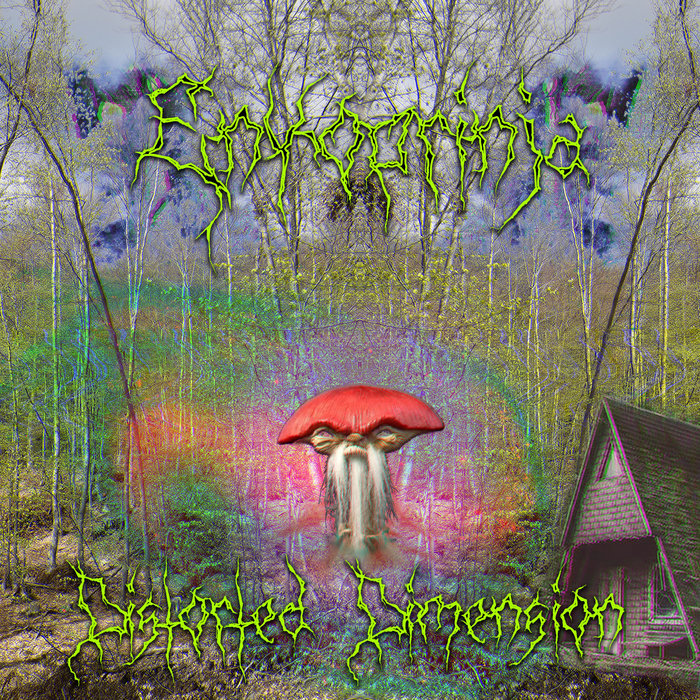 Distorted Dimension | Enkoprinja | Active Meditation Music