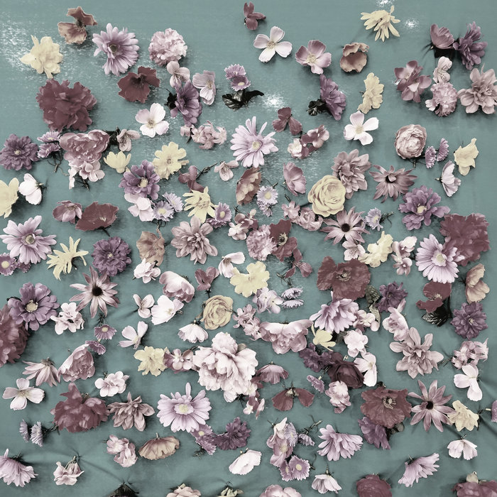 Shadow | With Flowers