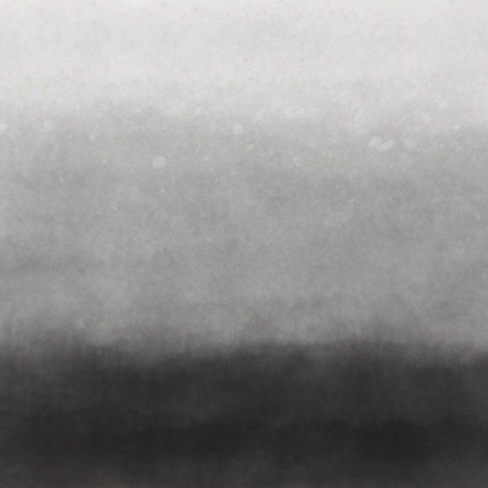 Tomorrow Will Be The Same Perfect Shade of Grey | Anteater