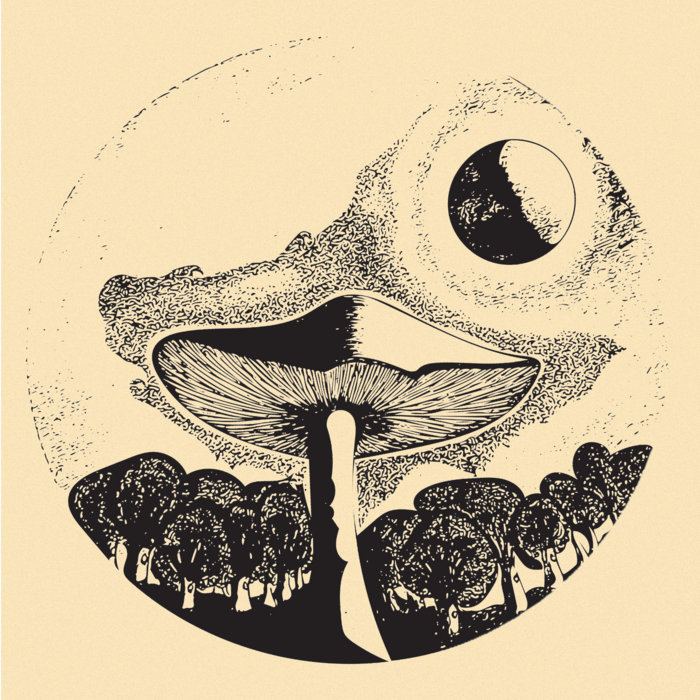 Moonstone | Moonstone