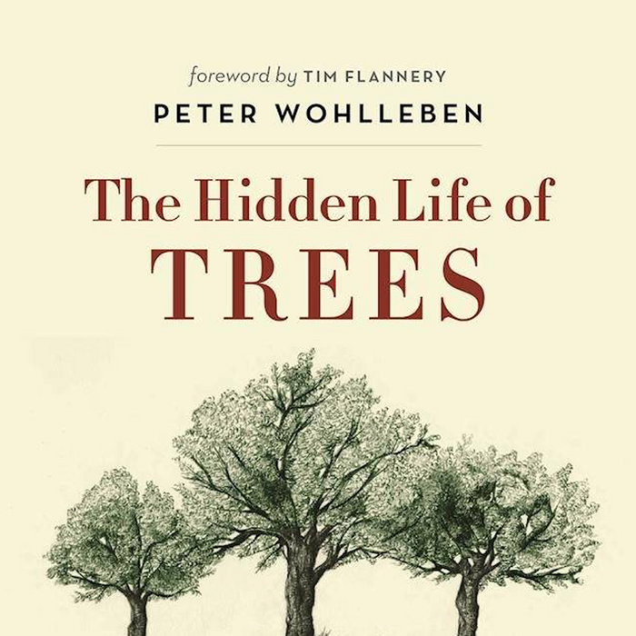 Peter Wohlleben's THE HIDDEN LIFE OF TREES | The Bushwick Book Club