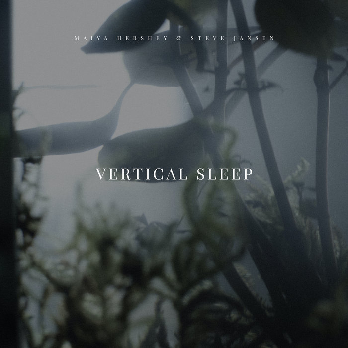 Vertical Sleep | Maiya Hershey & Steve Jansen