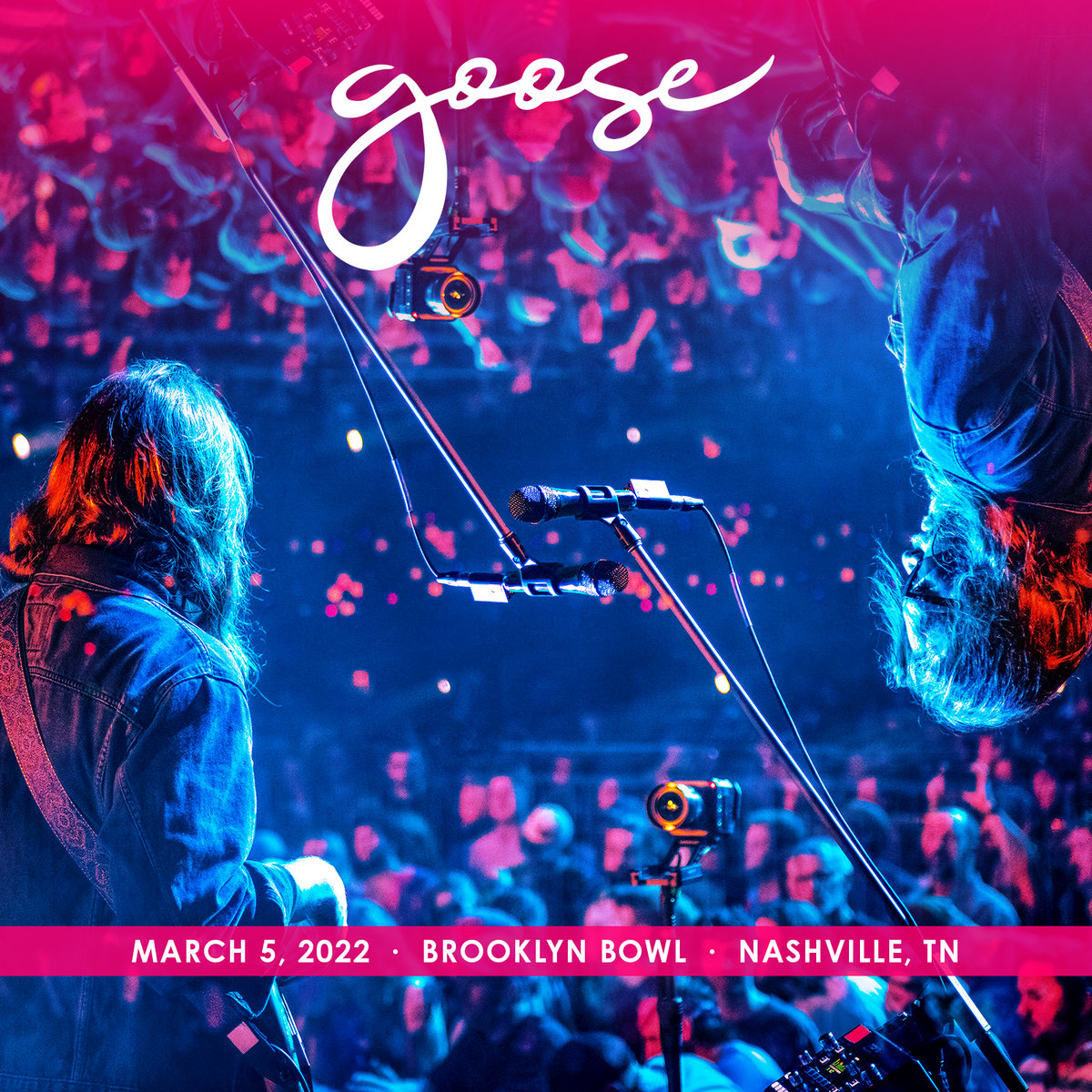 Jive II | Goose