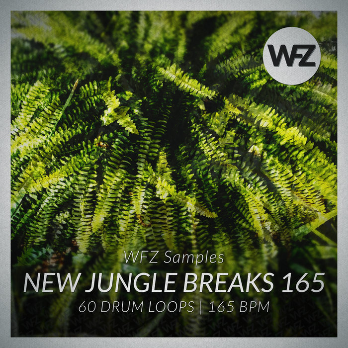 NEW JUNGLE BREAKS 165 Samplepack | WFZ Samples | Waiting For Zyo