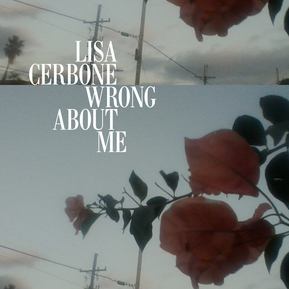 Wrong About Me | Lisa Cerbone