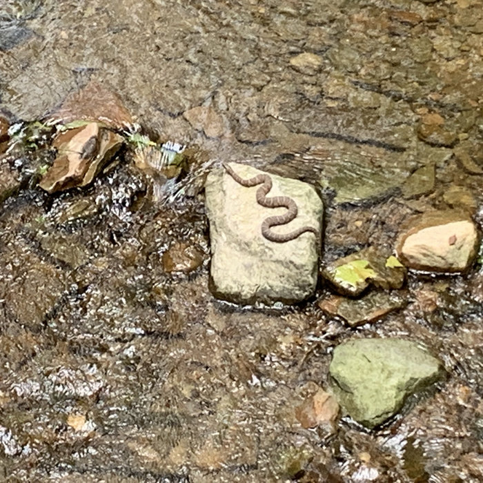 Truman Carter Mach II | Kyle Siegrist and Joe Hess | Joe Hess