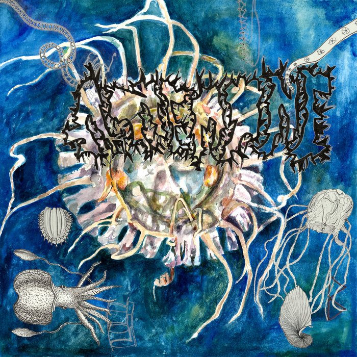 Mesoglea / Anemone | AUCO & Neana | Infinite Quest Records