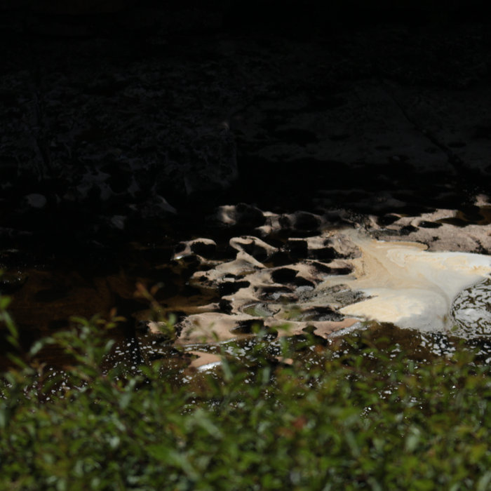 riplacer 1617 | Hajaja