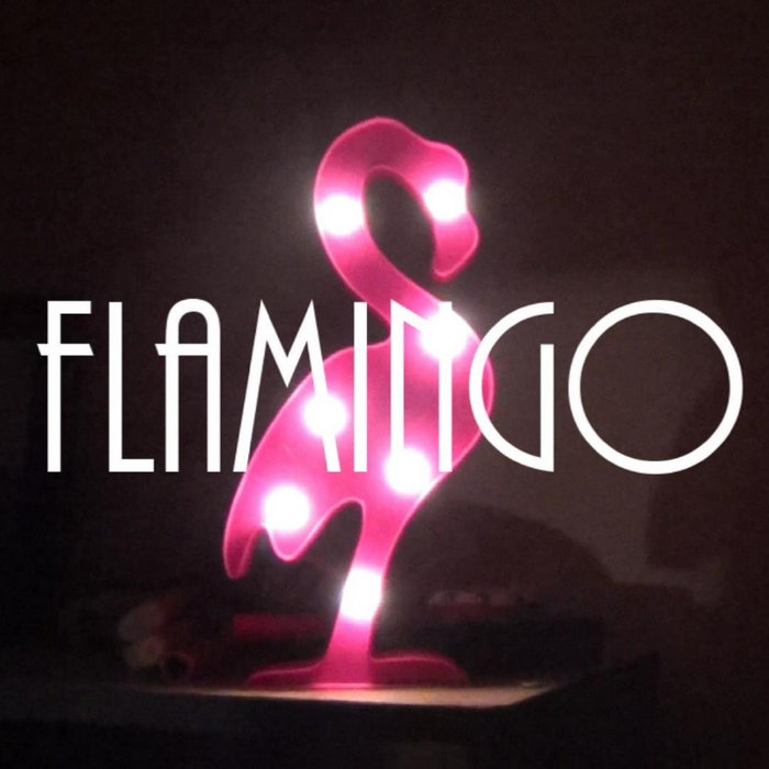 Flamingo | Flamingo The Film