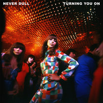 Subscribe to Never Dull | Never Dull