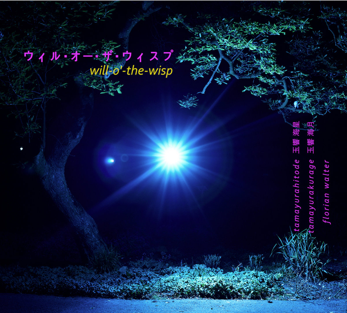 ウィル・オー・ザ・ウィスプ /// will-o'-the-wisp | 玉響 海星/tamayurahitode / 玉響 海月 ...