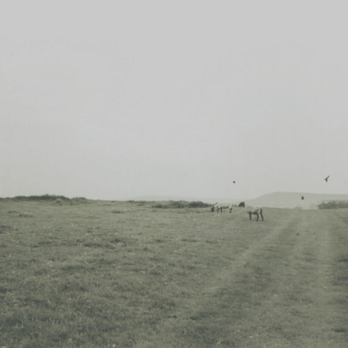 four sessions | M. Woodroe