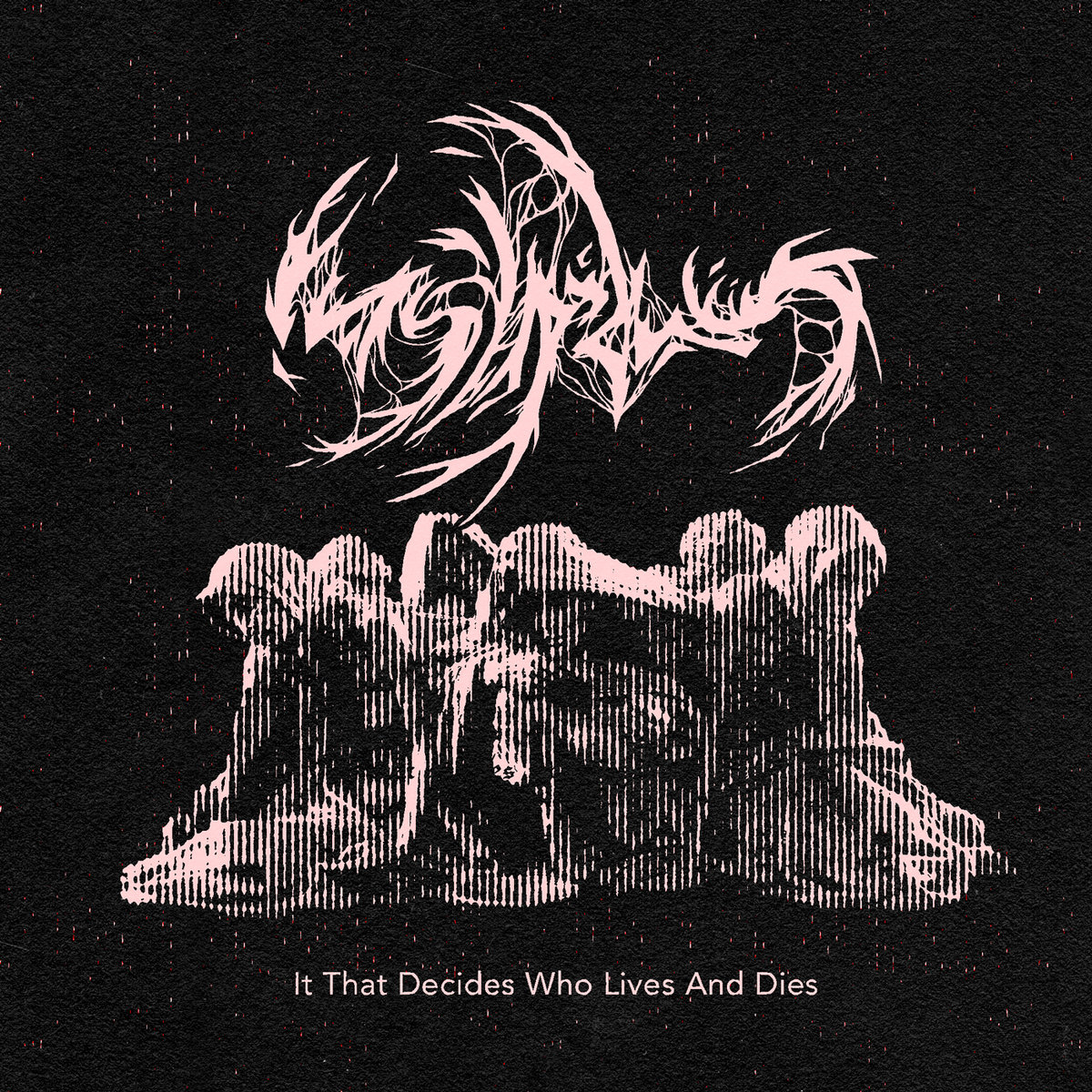 It That Decides Who Lives And Dies | Insipidus