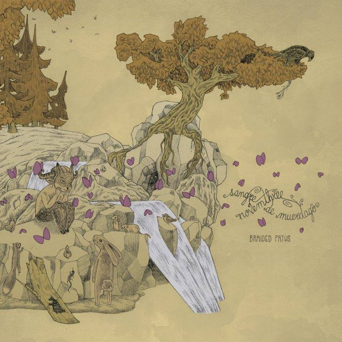 Braided Paths | novemthree