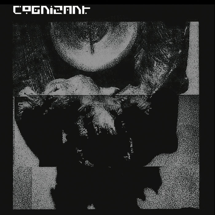 Cognizant | COGNIZANT | Selfmadegod