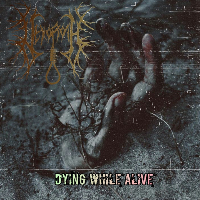 Dying While Alive | Vexoroth