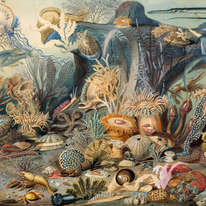 Episodes in Oceanography, Vol. 2 | Chypho