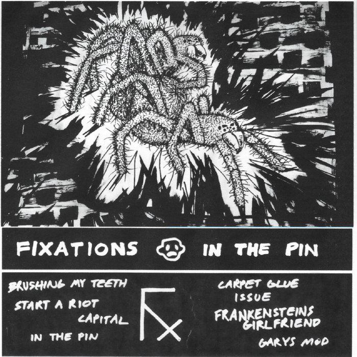 in the pin | fixations