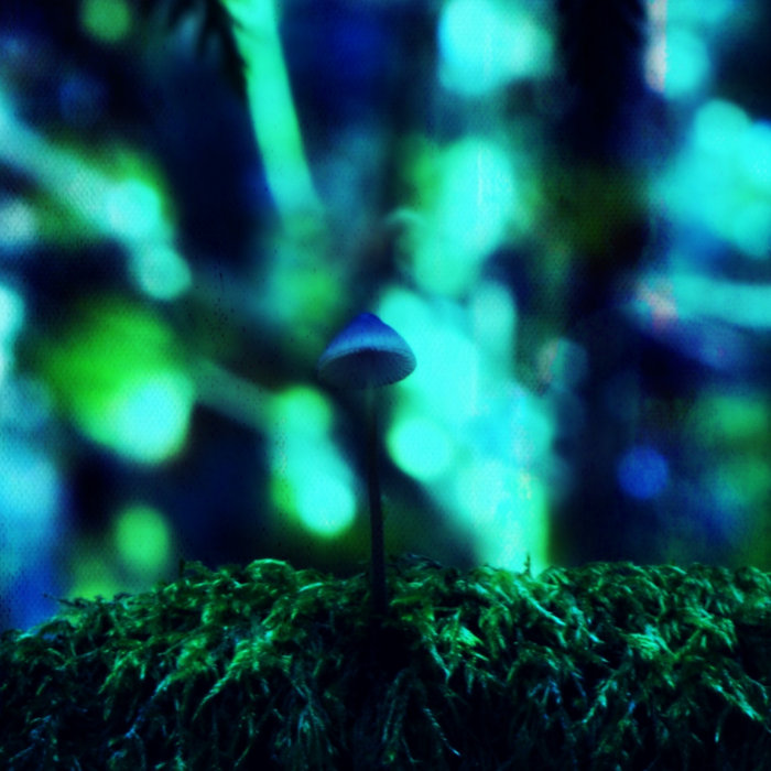 Marsh Tribe (Sample) | Nyte Fryte