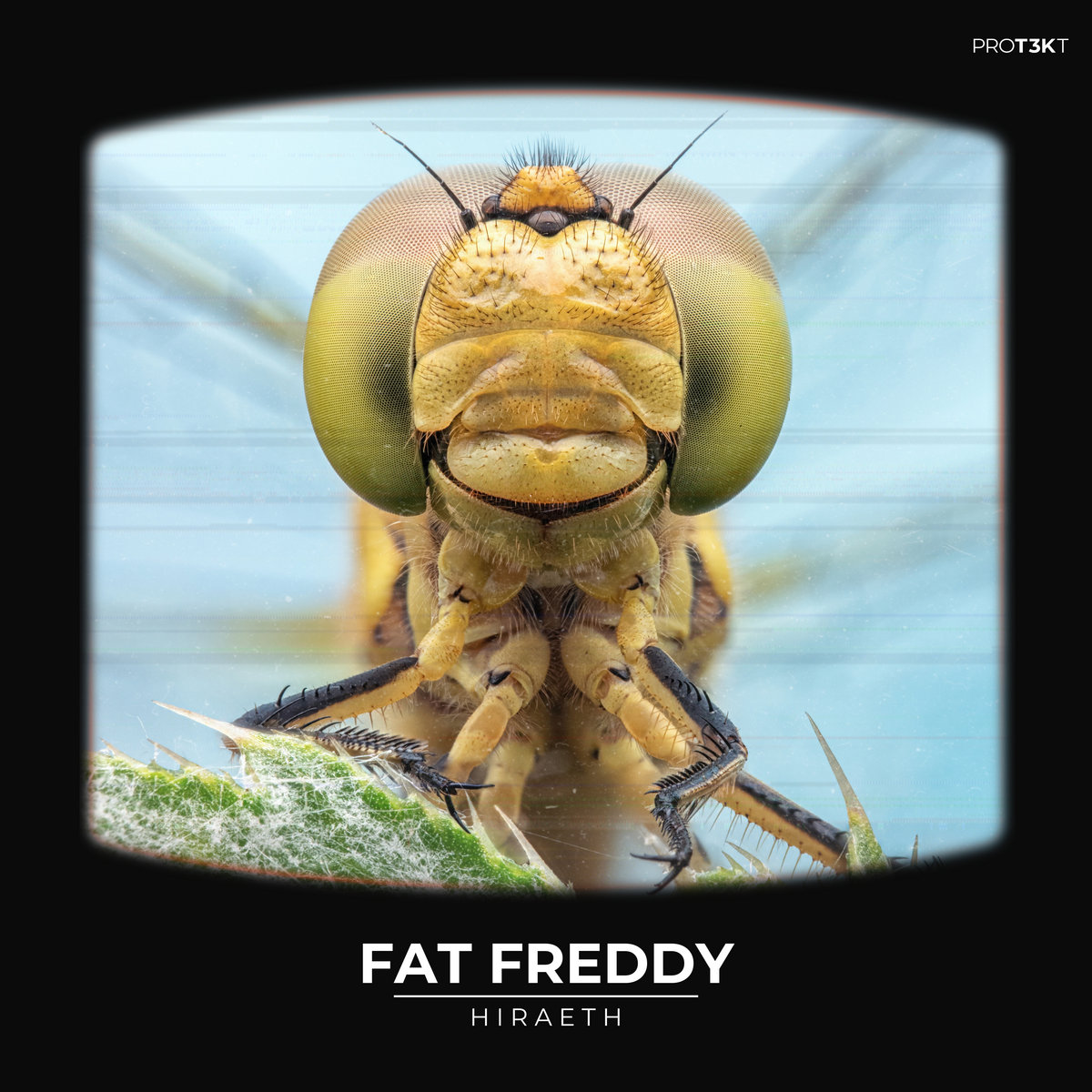 INSECTS006 (Pay What You Want) | Hiraeth | T3K