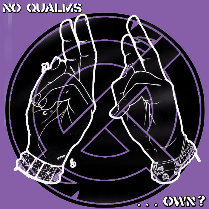 No Qualms - ...OWN? 7" | No Qualms | SEA TURTLE LOUD NOISE RECORDS