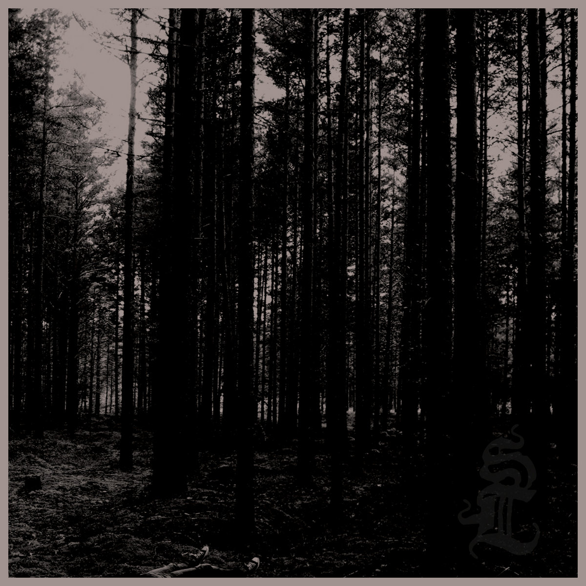 Skog | Svarti Loghin | S.L / Entiteten