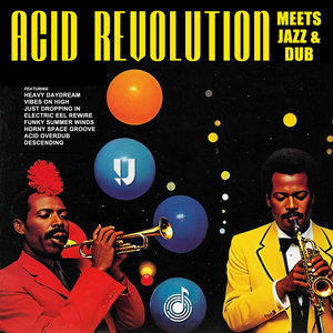 Meets Jazz & Dub Listening Party | Acid Revolution