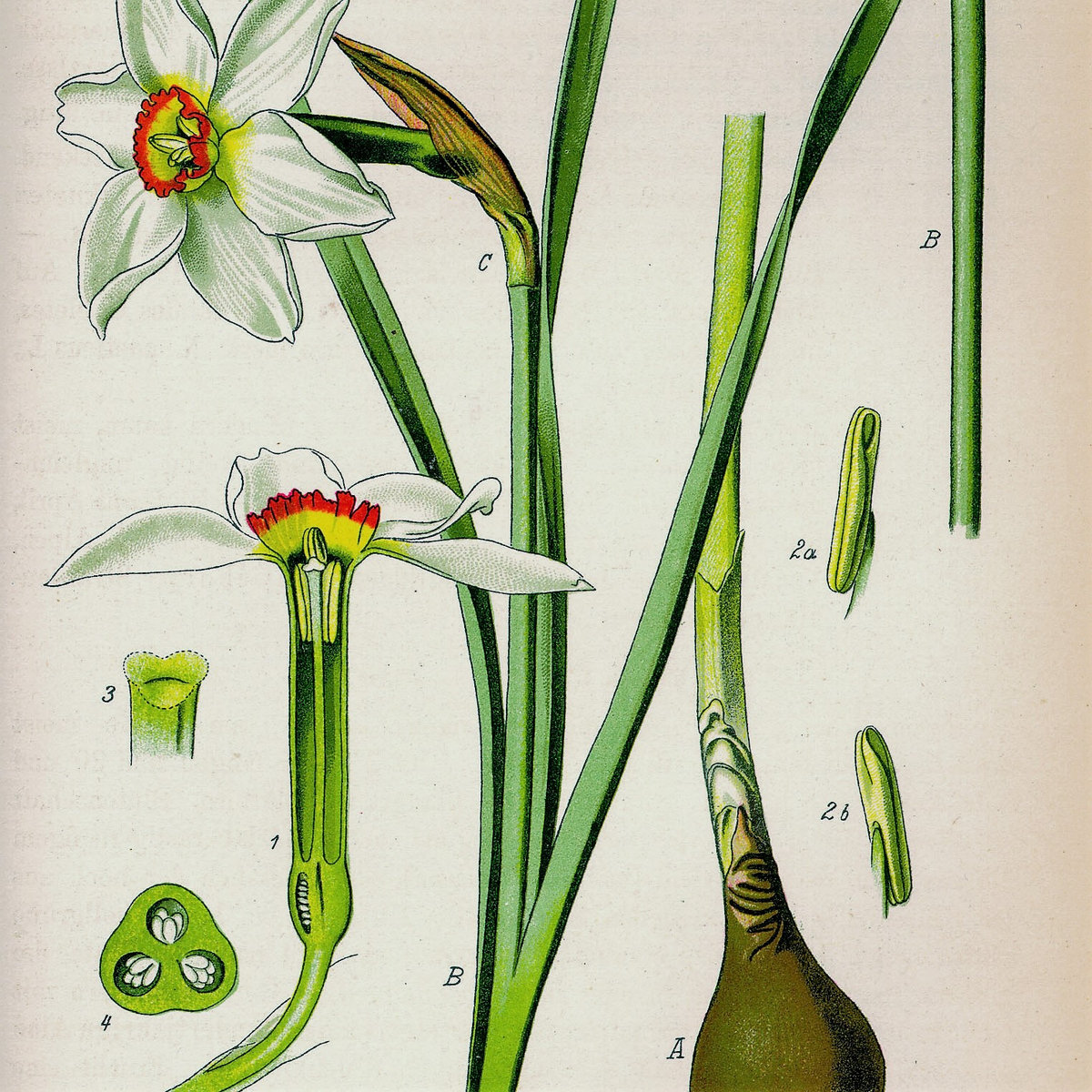 New Haunts | Benj Pocta | benj pocta