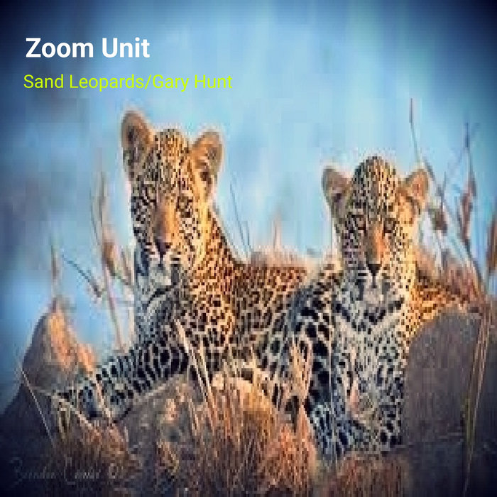 Sand Leopards / Gary Hunt | Zoom Unit