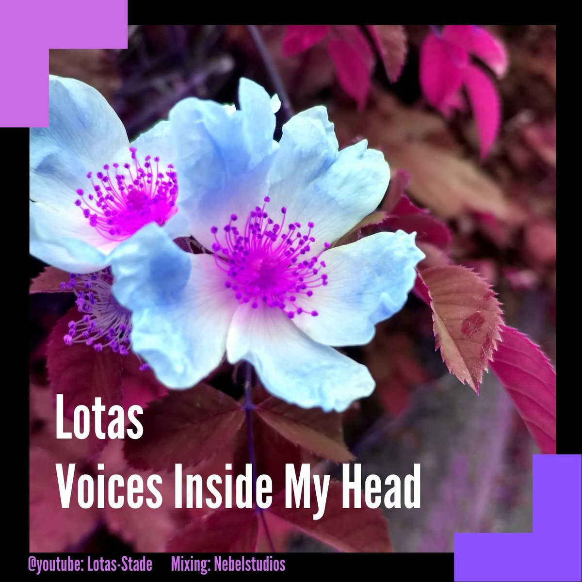 Voices Inside My Head | Lotas