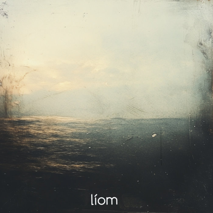 Has Left The Chat | Líom