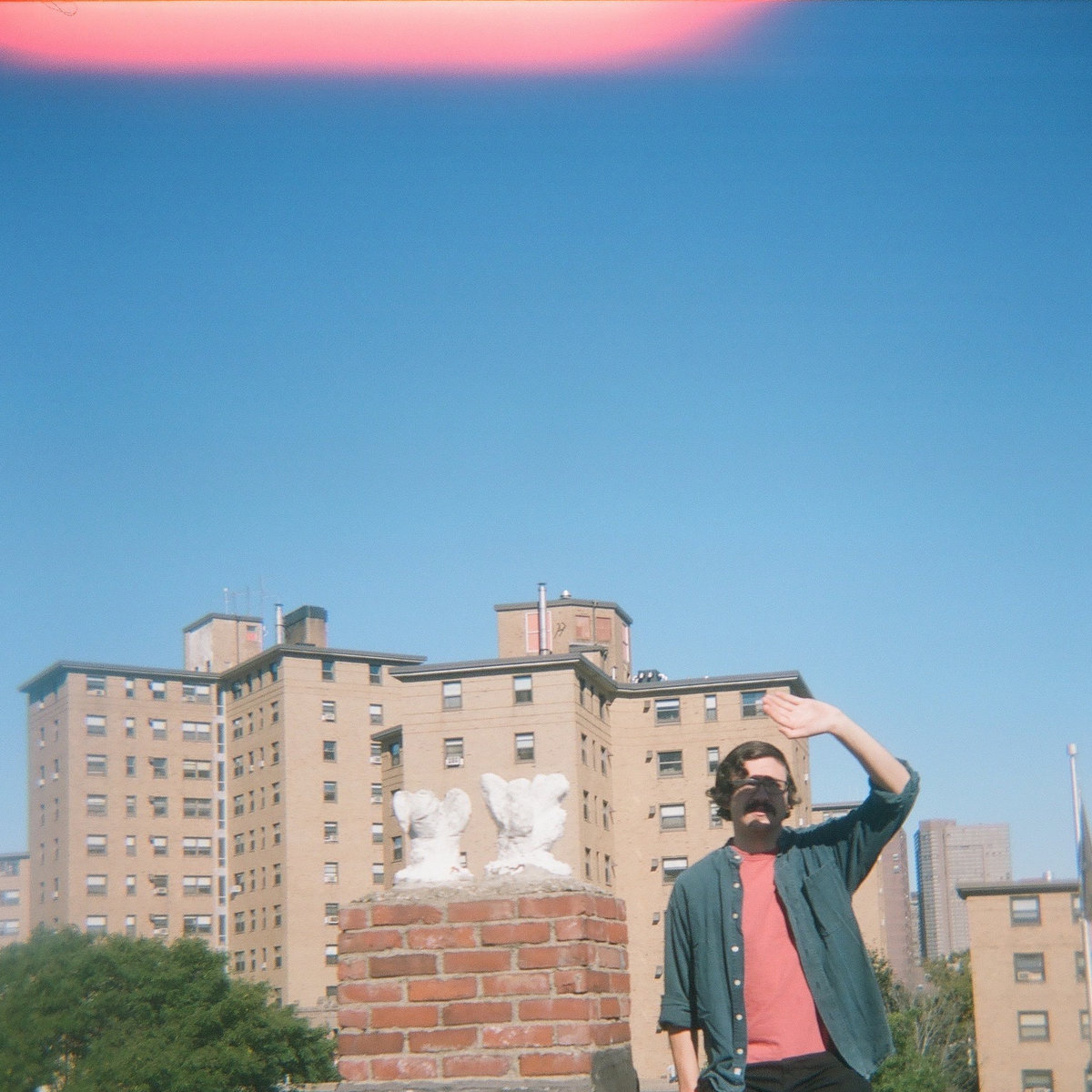 In the Pulses | Matt Hull