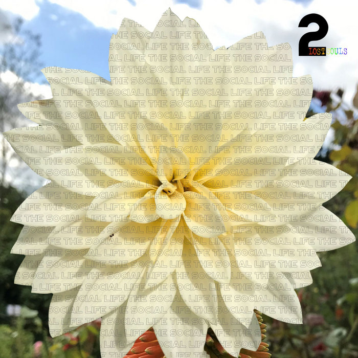 The Social Life | 2 Lost Souls