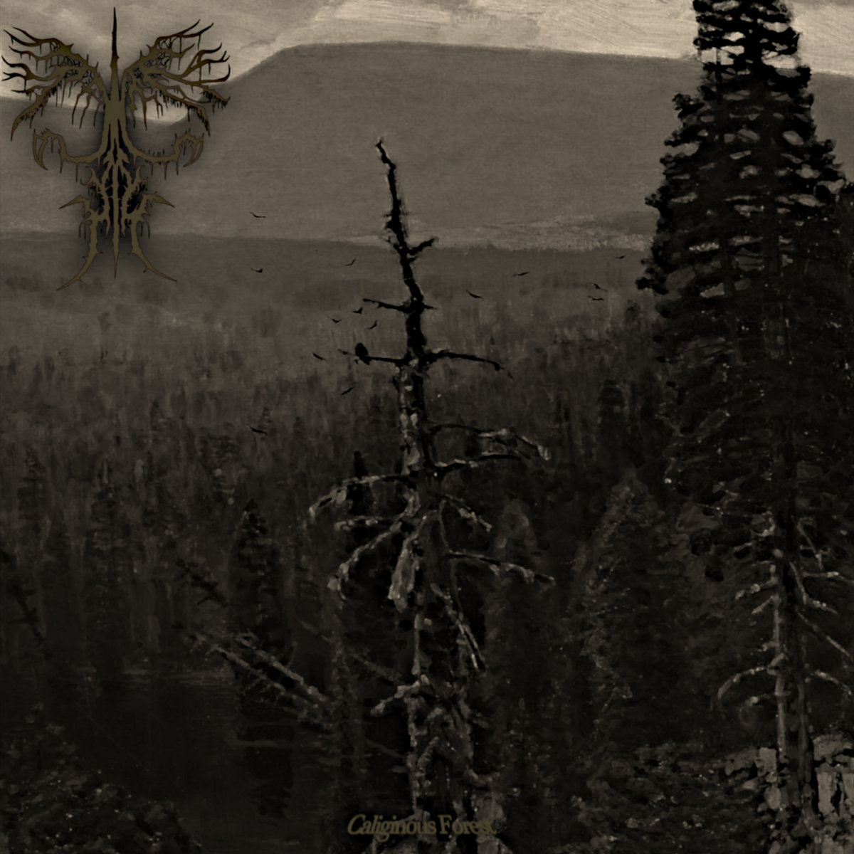 Caliginous Forest | Ancient Boreal Forest
