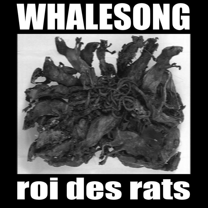 Roi des Rats | Whalesong
