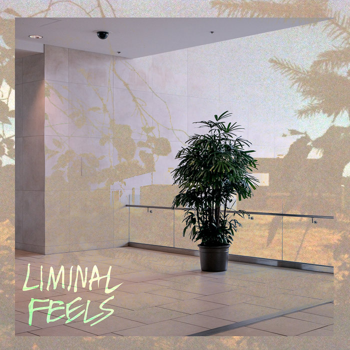 LIMINAL FEELS | LIMINAL FEELS