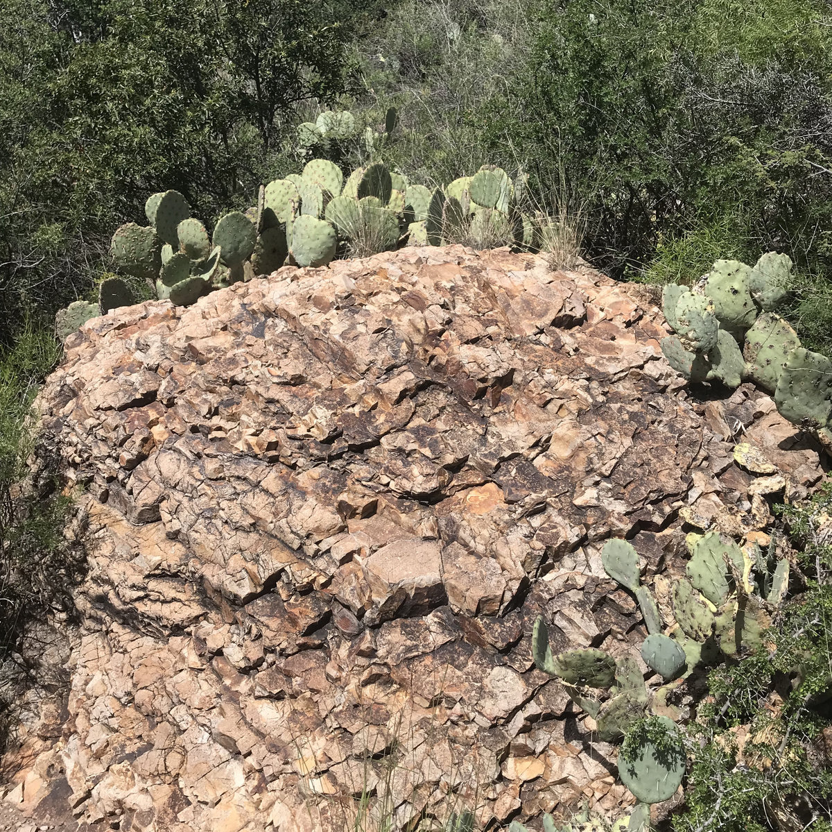 Alive in the Infinite Hellscape | Andrew Weathers