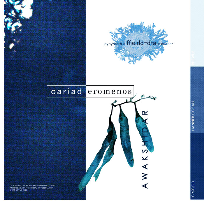 Cariad/Eromenos | Awakshidar | Bottle Collection Tapes