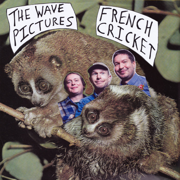 French Cricket | The Wave Pictures