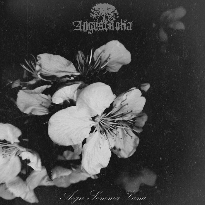 Aegri Somnia Vana | Angustifolia | Depressive Illusions Records