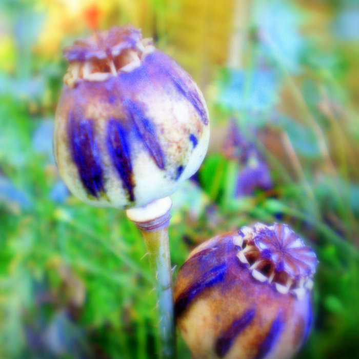 13th Floor | Half Awake